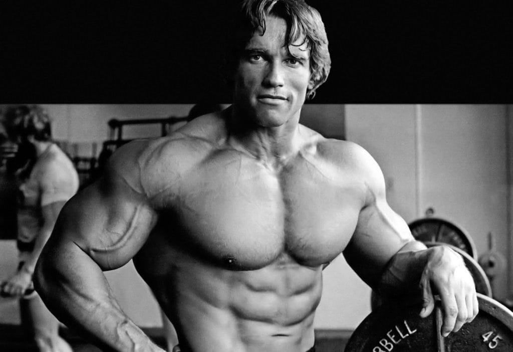 The Pec Deck: Your Ultimate Guide To a Well-Defined Chest - This Is Why ...