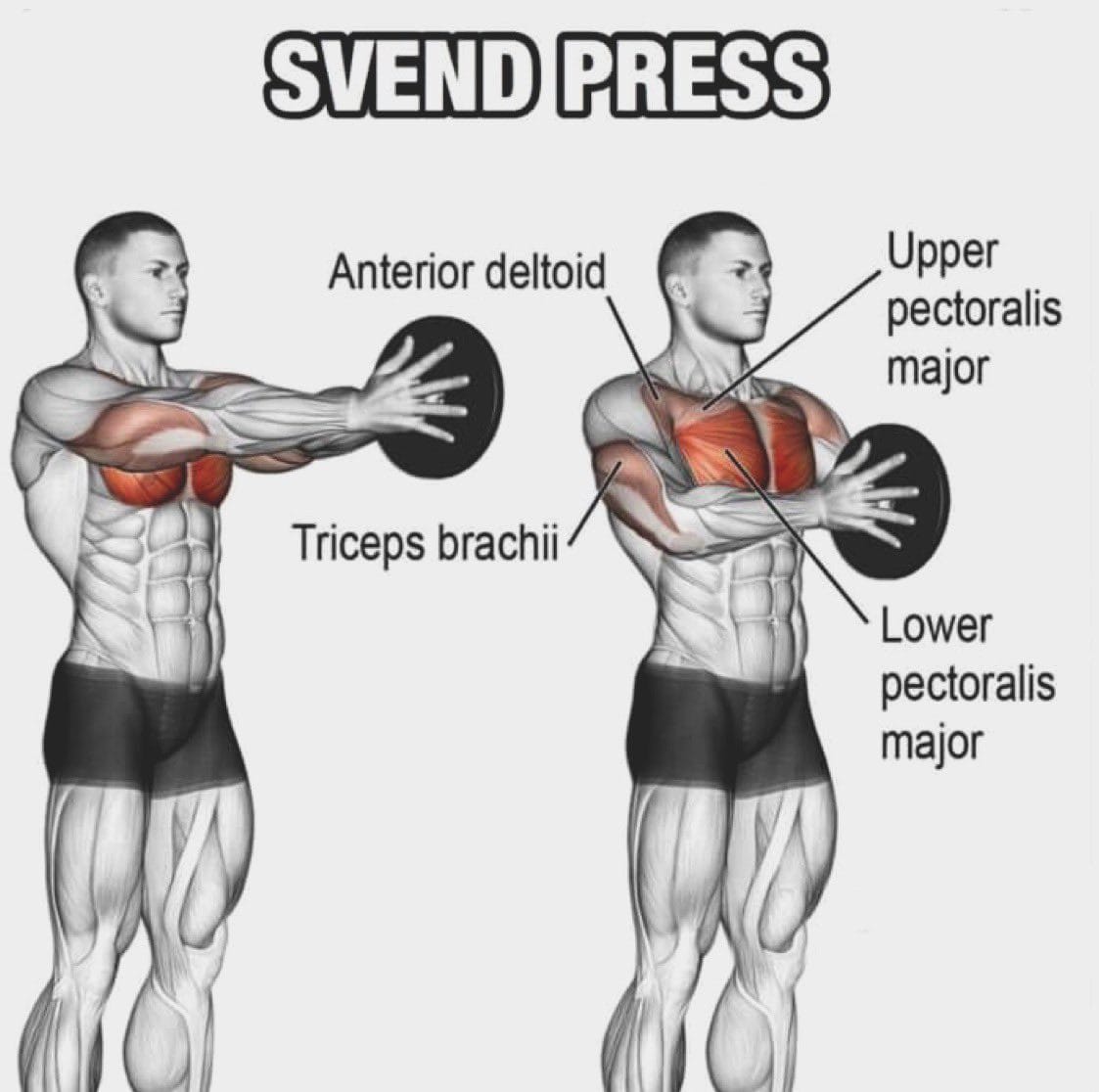 The Svend Press: What It Is, and What It Can Do For You - This Is Why I ...