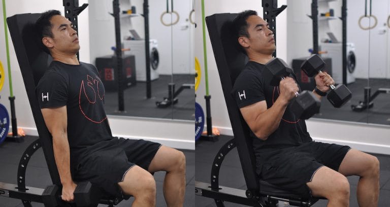 Seated Hammer Curls: How To, How Not To, and Benefits - This Is Why I'm Fit