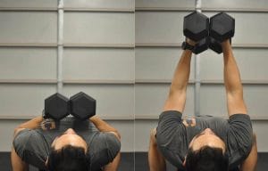 The Hex Press: The Most Underrated Chest Exercise - This Is Why I'm Fit