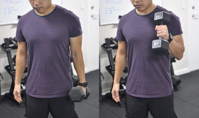 20 Hammer Curl Variations For Maximising Arm Mass - This Is Why I'm Fit