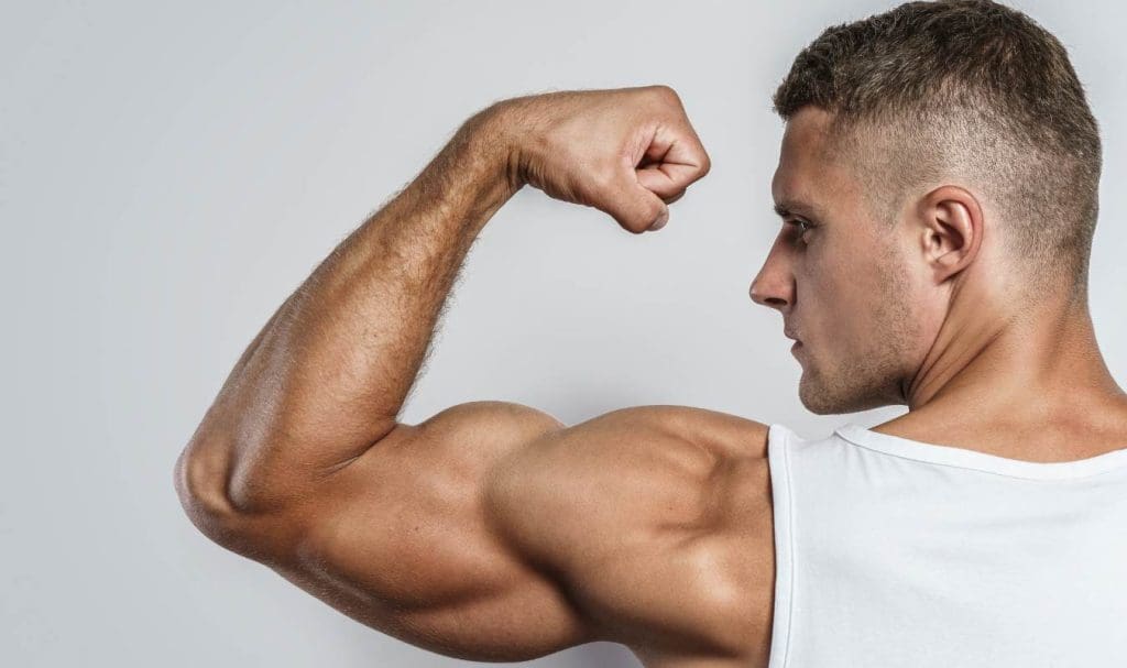 The Ultimate Big Arms Workout Routine with PDF - This Is Why I'm Fit