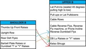 Shoulder Workout Plan (with PDF) for Bigger, Thicker Shoulders - This ...
