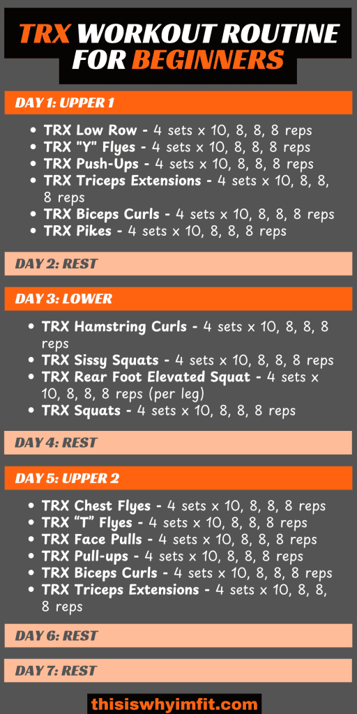 The Best TRX Workout Routine for Beginners (free PDF) - This Is Why I'm Fit